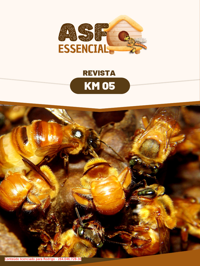 AULA5 | PDF | Abelhas | Feromona