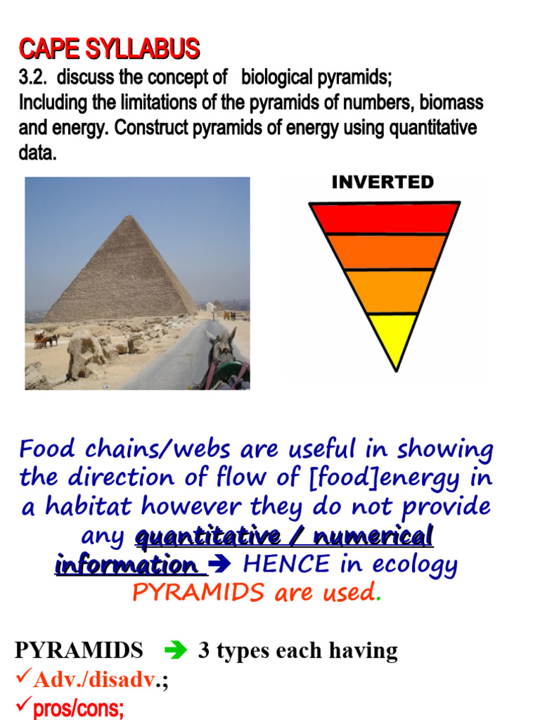 Ecology With Pyramids and Nutrient Cycling | PDF | Food Web | Ecosystem