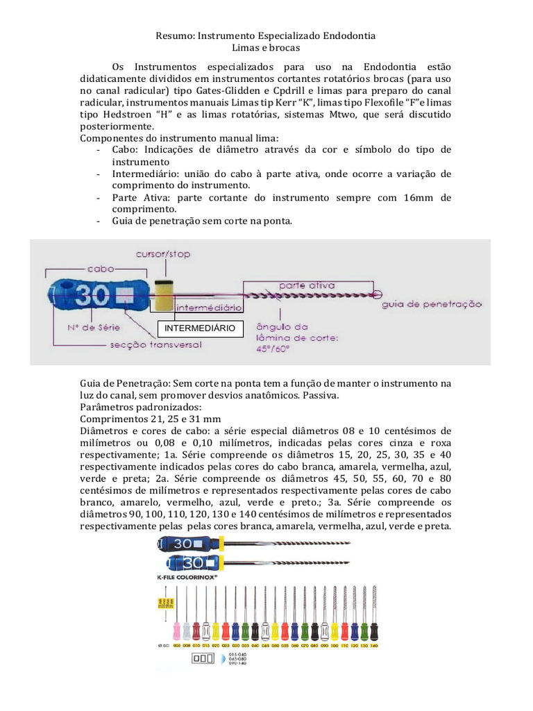 Roteiro de Aula - Instrumentos Endodônticos | PDF