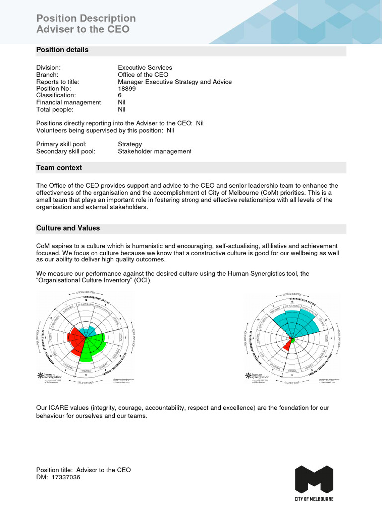 CEO Adviser Position Description | PDF | Chief Executive Officer ...