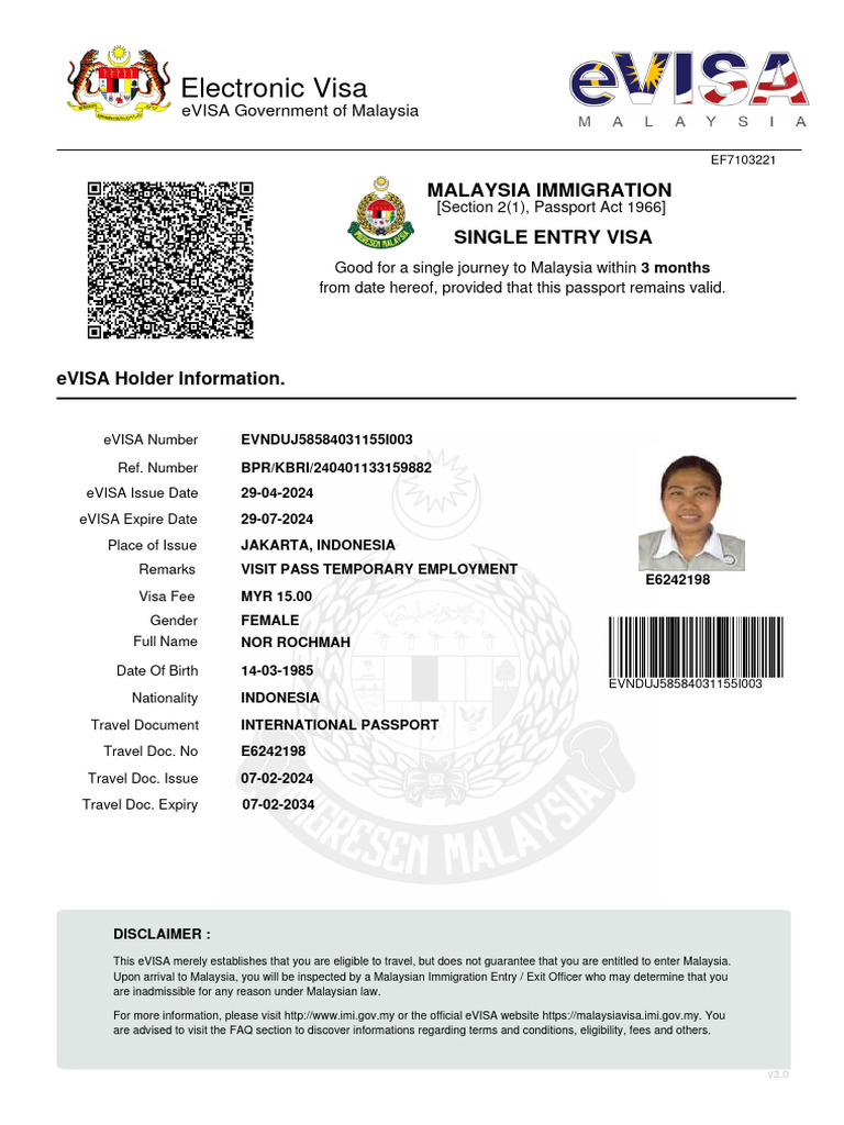Malaysian eVISA Details | PDF
