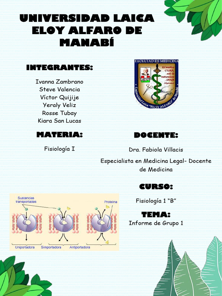 Resumenes Fisio 4 Grupos | PDF | Músculo | Acetilcolina