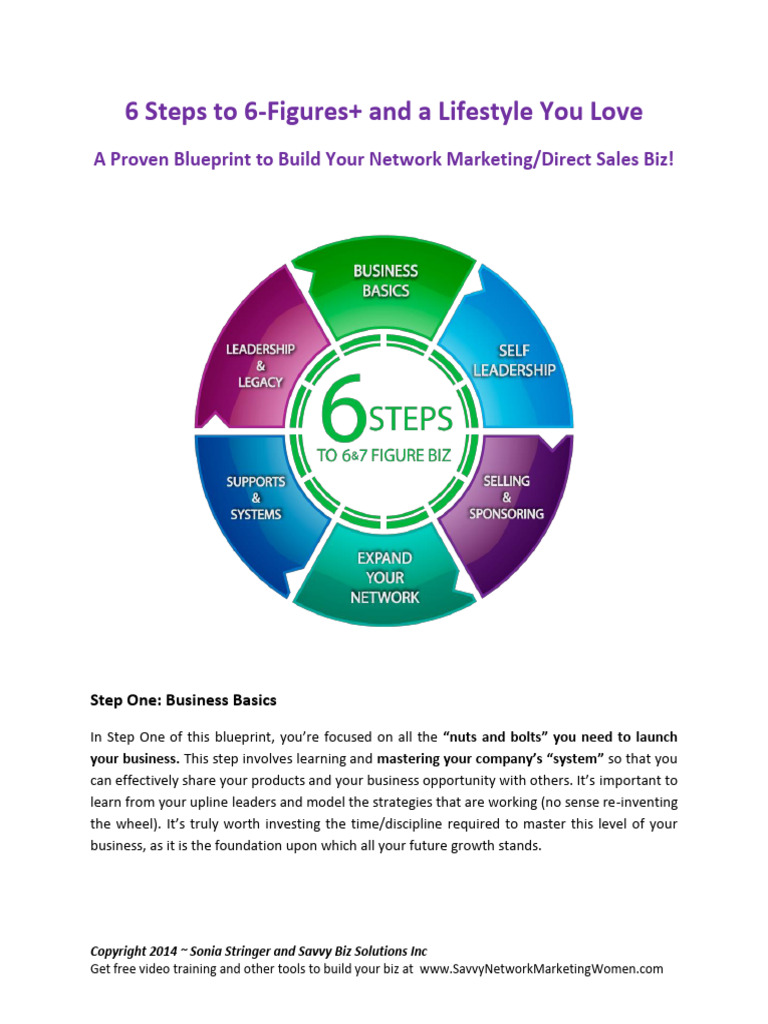 6 Steps To 6 Figures Sonia Stringer | PDF | Business Economics | Economies