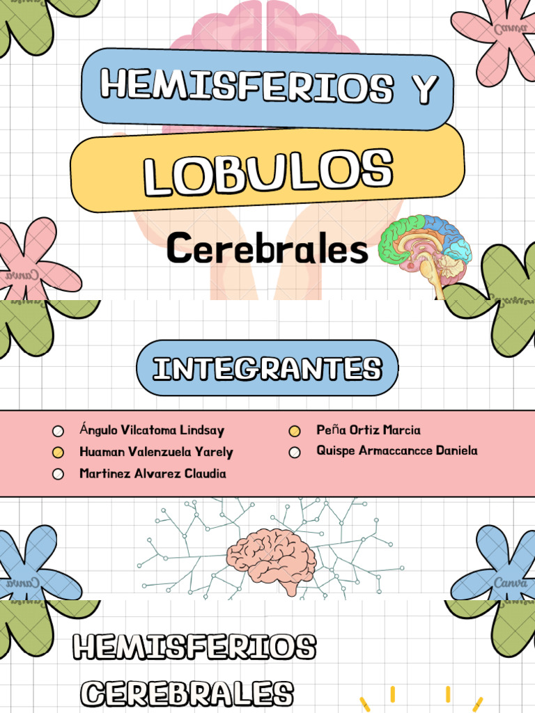Hemisferios Cerebrales y Lobulos | PDF | Hemisferio cerebral | Cerebro