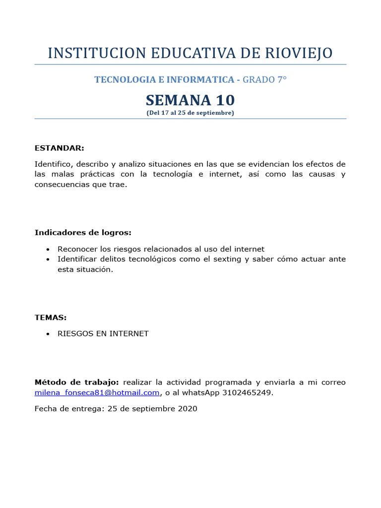 Actividad10 Grado 7 | PDF | Cibercrimen