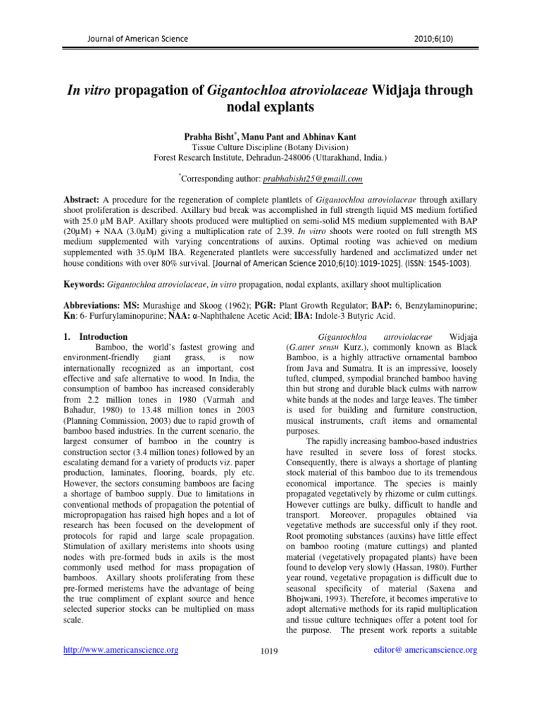 In Vitro Propagation of Black Bamboo | Download Free PDF | Biology | Botany