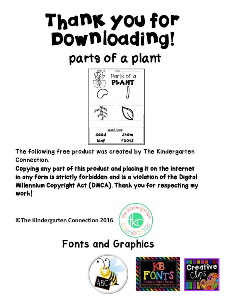 Parts of A Plant Labeling Activity | PDF