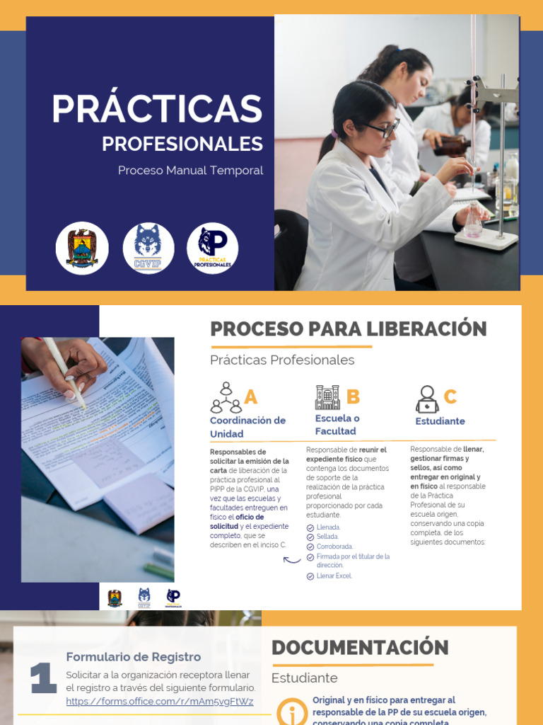 Proceso Manual PP 2024 | PDF