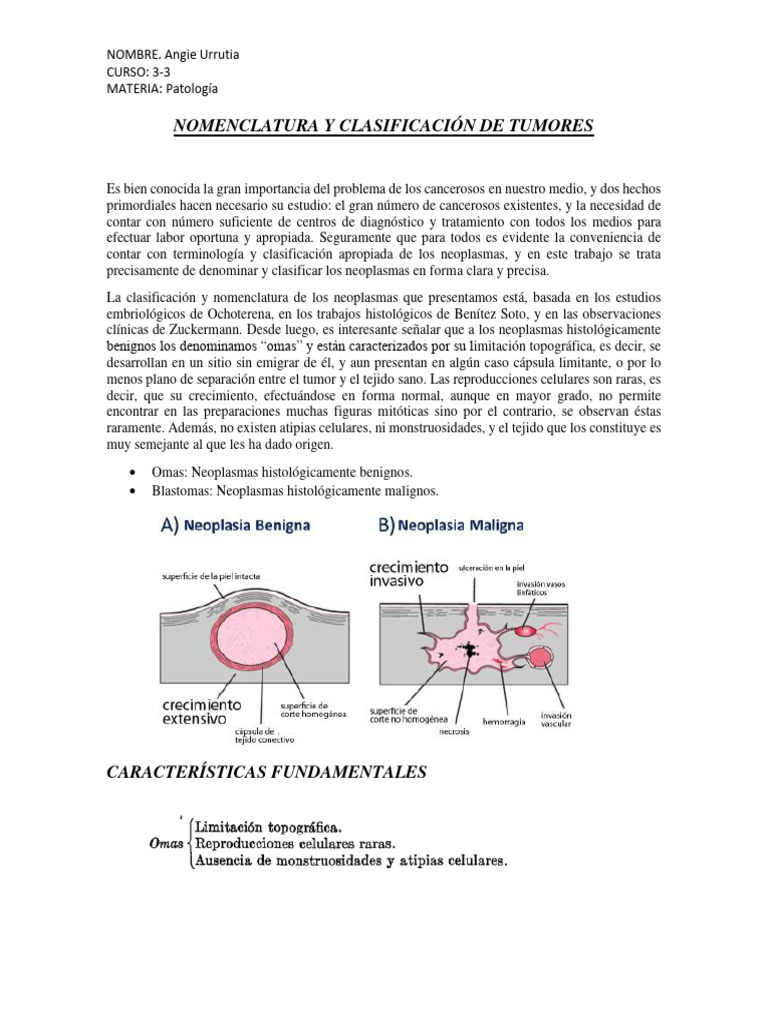 Nomenclatura y Clasificación de Tumores | PDF | Neoplasias | Sistema nervioso