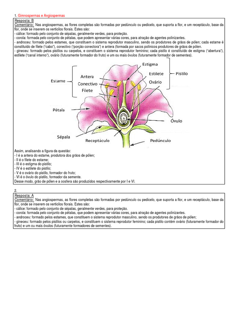 Biologia_resumo (Gimnospermas e Angiospermas) | PDF | Flores | Pólen