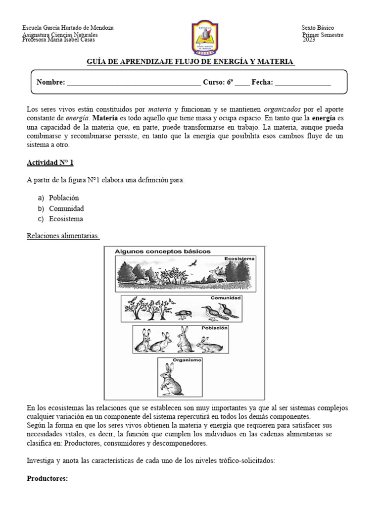 Flujo de Energía y Materia en Ecosistemas | PDF | Producción primaria ...