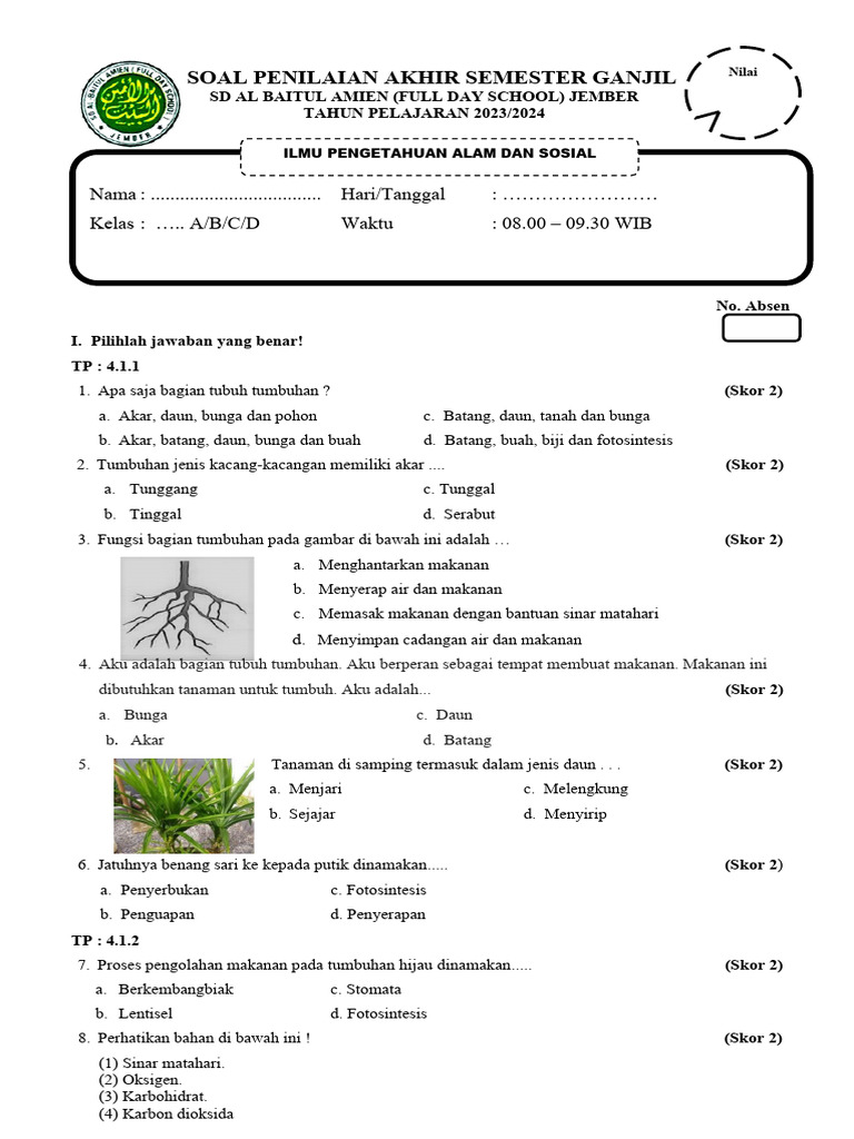 Sas Ipas KLS 4 | PDF