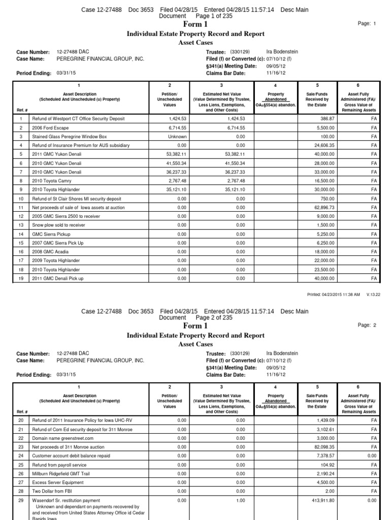 Form 1: Individual Estate Property Record and Report Asset Cases | PDF ...