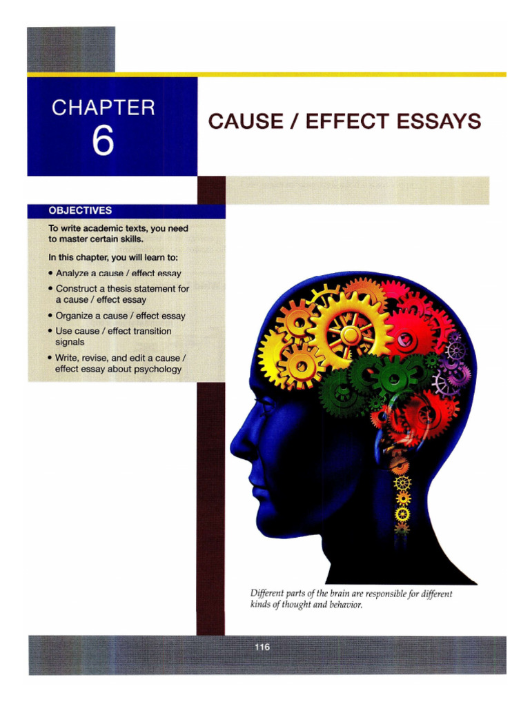 Unit 6 - Week 2 - Causes and Effects Esssay | PDF
