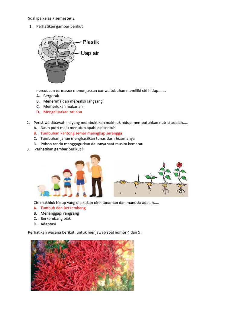 Soal Ipa Kelas 7 Semester 2 | PDF | Griya & Taman