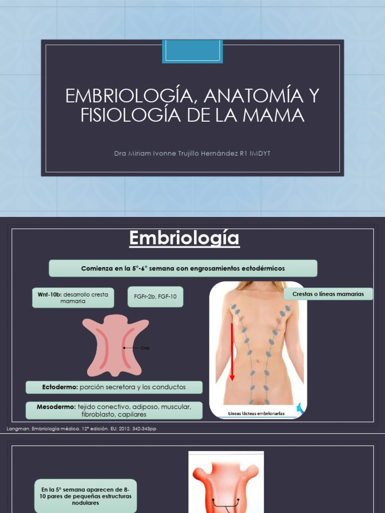 Embriología y Fisiología de la Mama | PDF | Pecho | Sistema linfático