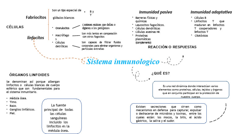 Mapa Conceptual Del Sistema Inmunologico Medina Carranza Yhordy Emerson | PDF | Sistema inmune ...