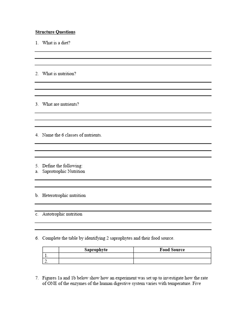Digestive System Worksheet | PDF | Digestion | Foods