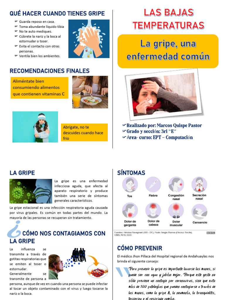 modelo diptico | PDF