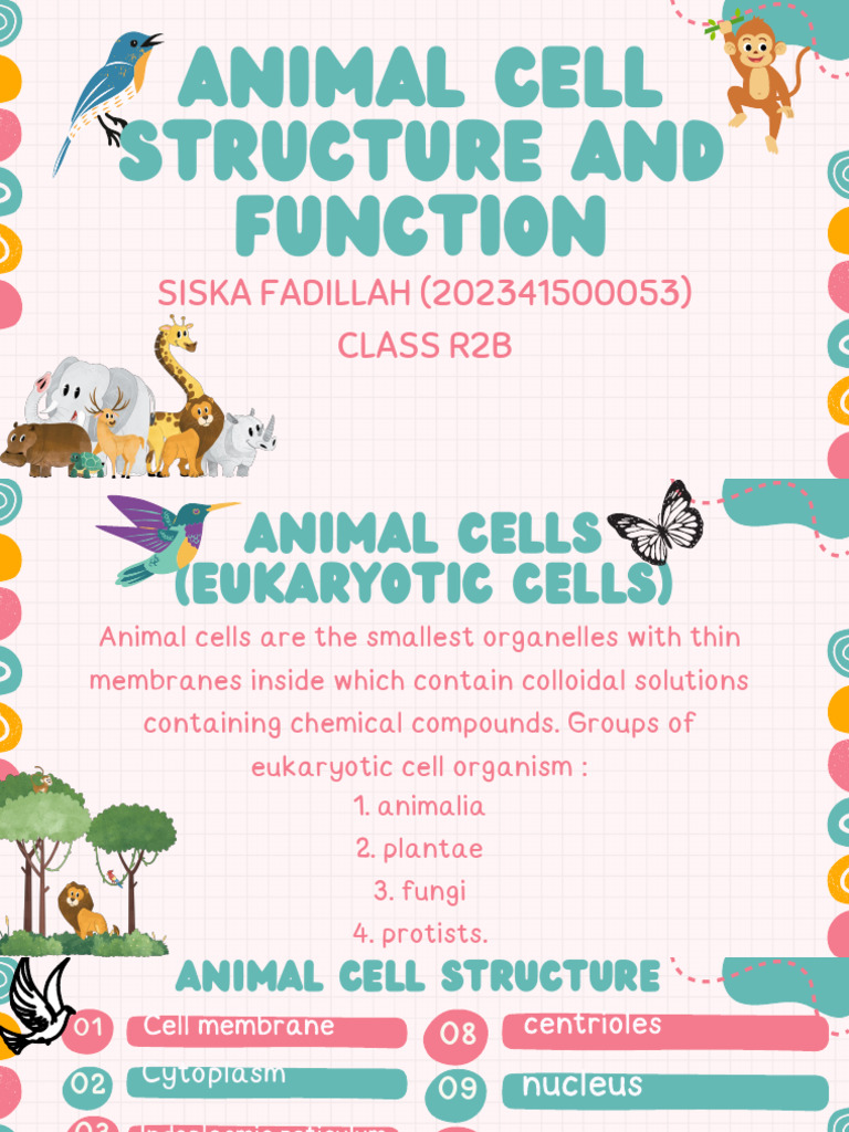 English Presentation - 20240317 - 105823 - 0000 | PDF | Cell (Biology ...