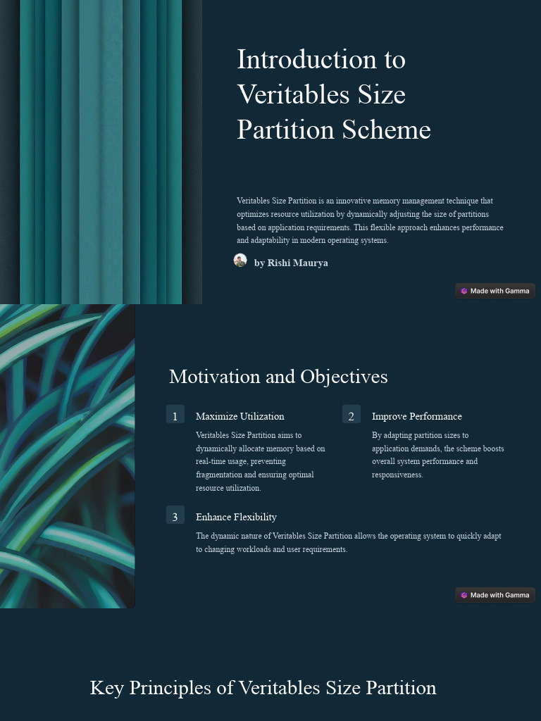 Introduction To Veritables Size Partition Scheme | PDF | Program Optimization | Scalability