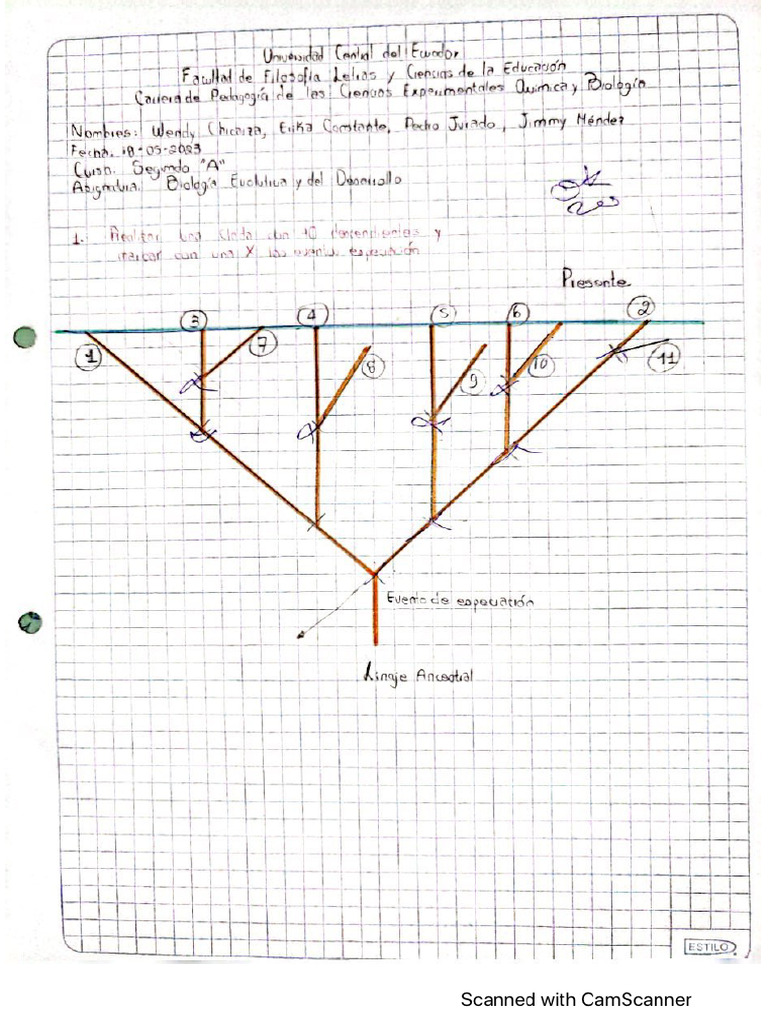 Generación Árbol Filogenético | PDF