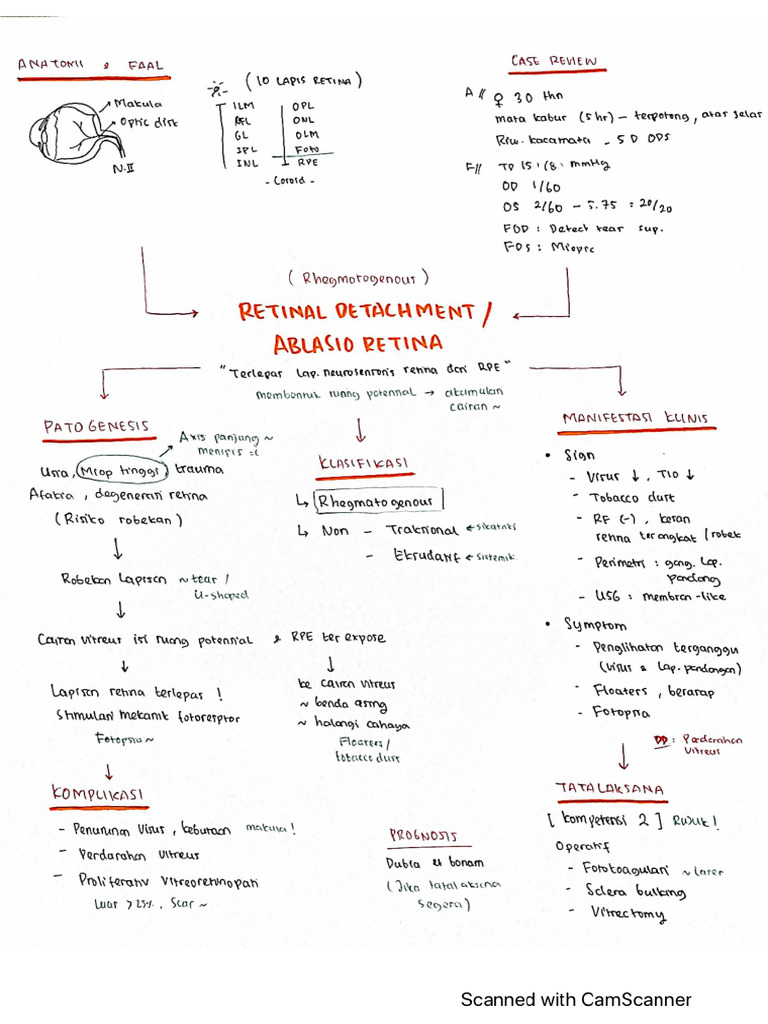Mindmap Mata | PDF