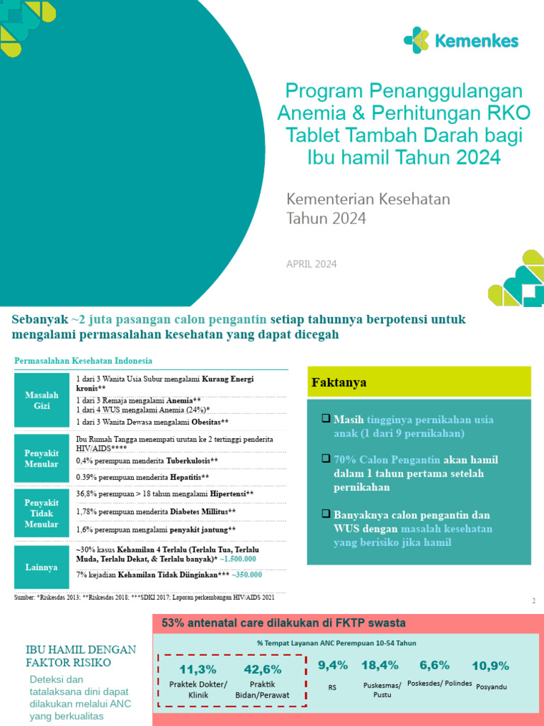 v1 Program Penanggulangan Anemia Dan Rko TTD | PDF