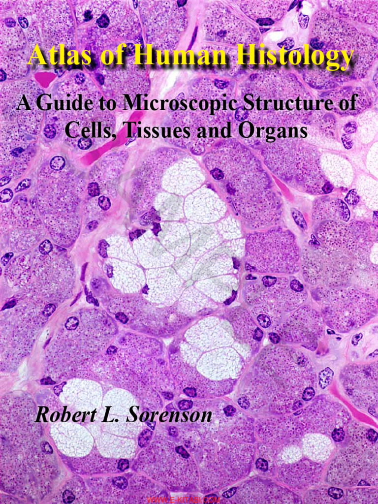 Human Histology Atlas Overview | PDF | Stomach | Gastrointestinal Tract