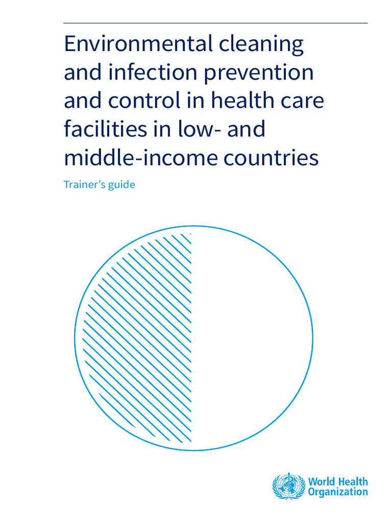 Environmental Cleaning and Infection Prevention and Control in Health ...