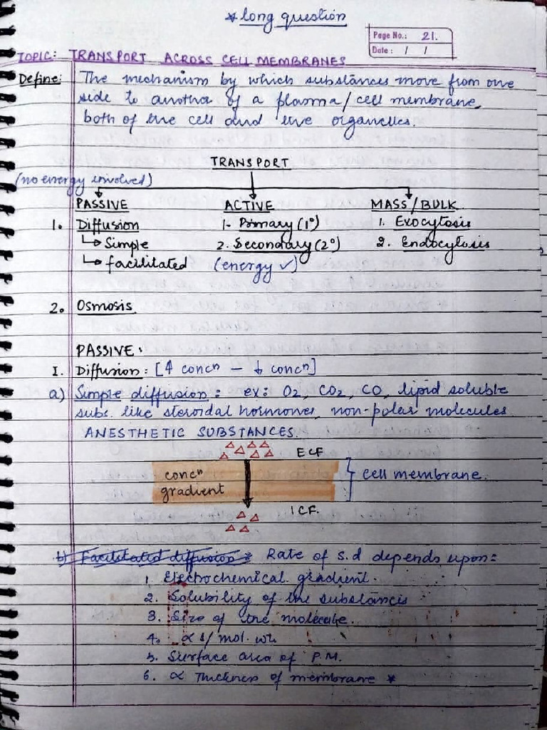 Transport Short | PDF