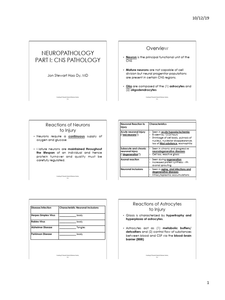 Neuropathology v2019 Handouts FOR PRINTING copy | PDF | Meningitis ...