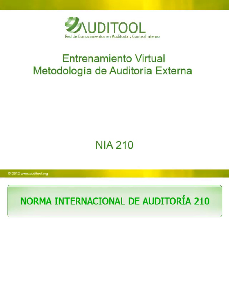 NIA 210 Acuerdo de Los Términos de Los Trabajos de Auditoría | PDF