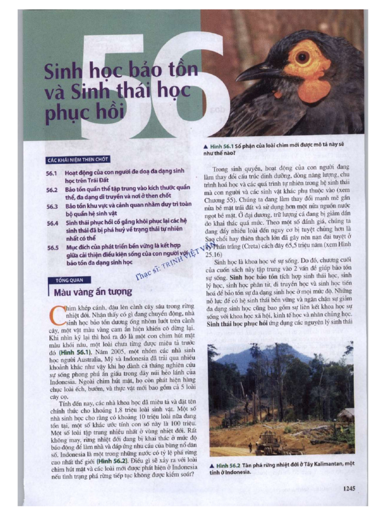 Chuong 56 Sinh Hoc Bao Ton Va Sinh Thai Phuc Hoi | PDF
