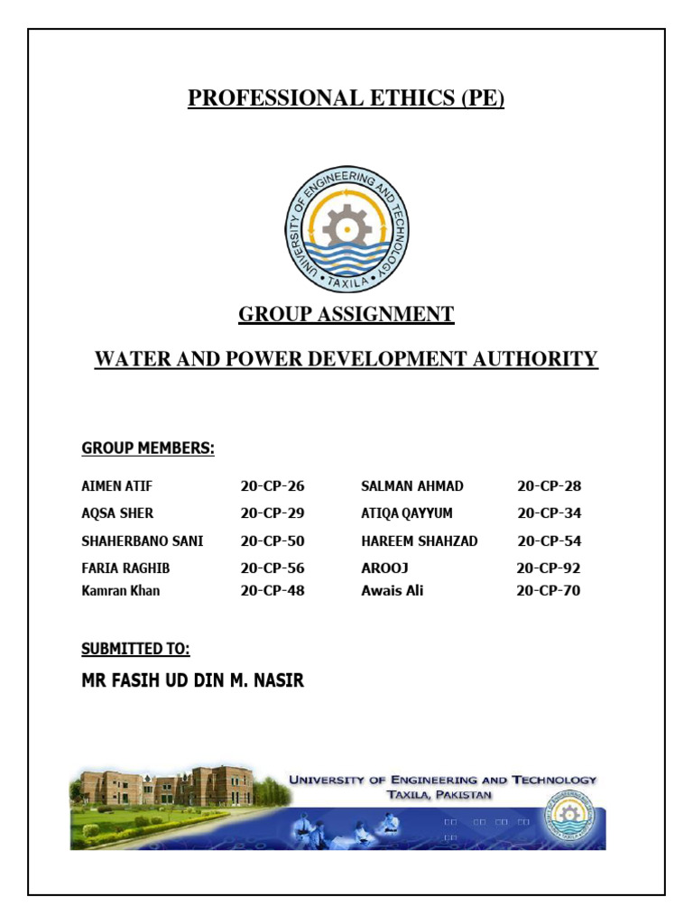 Pe Group Wapda | PDF | Smart Grid | Renewable Energy