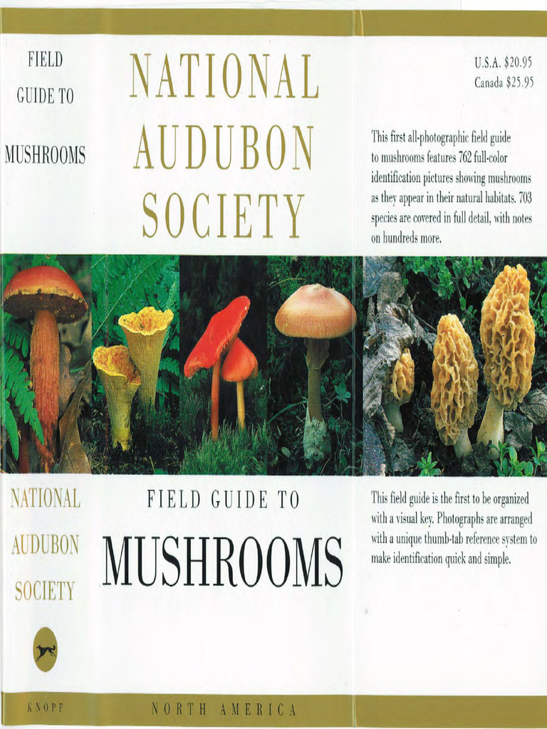 Field Guide To Mushrooms (North America) (Nat. Audubon Soc.) (PDFDrive ...