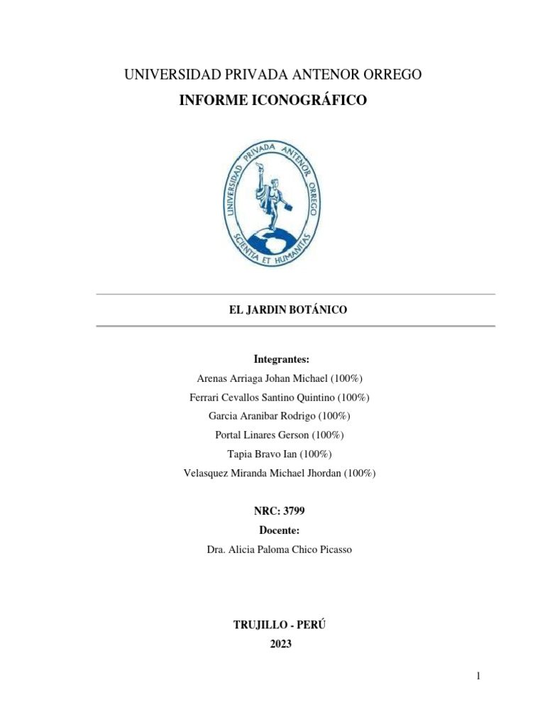 Informe Iconográfico | PDF