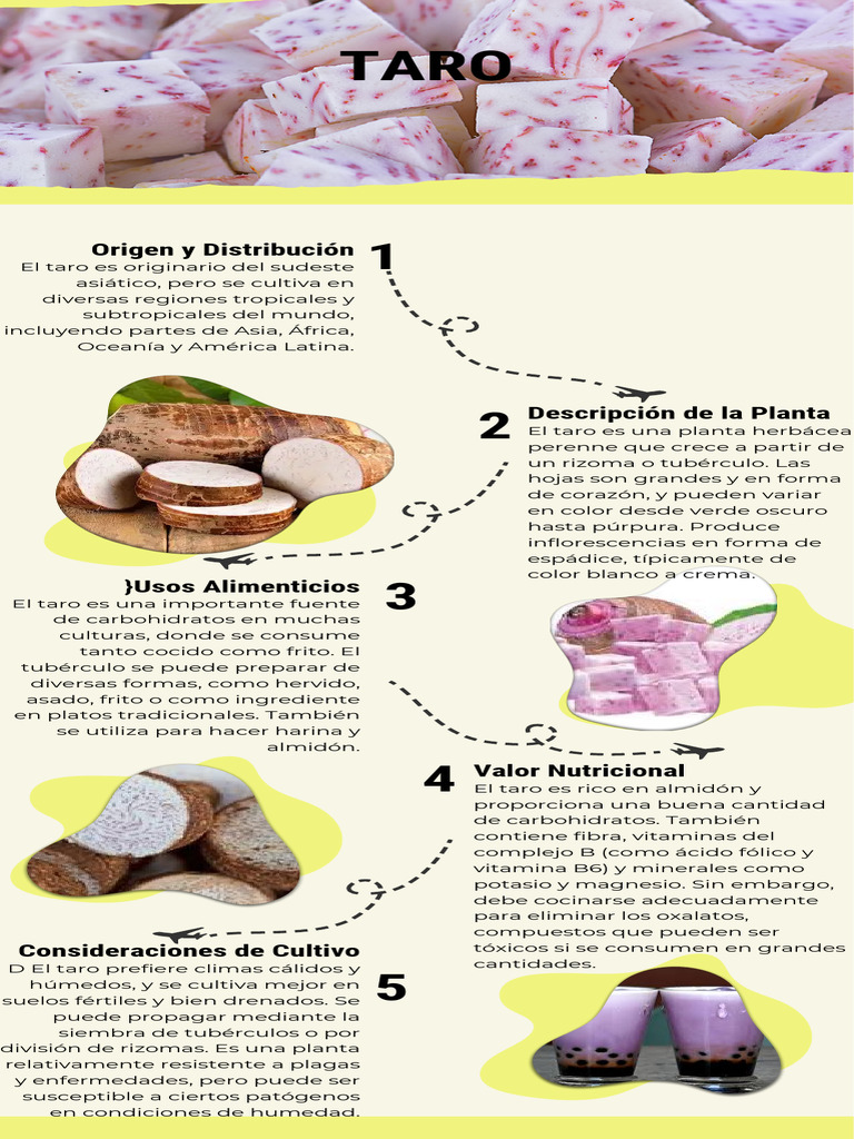 Taro: Cultivo y Usos Alimenticios | PDF