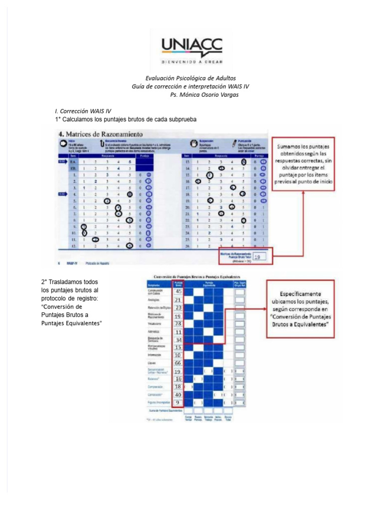 PDF Guia Correccion e Interpretacion Wais IV | PDF
