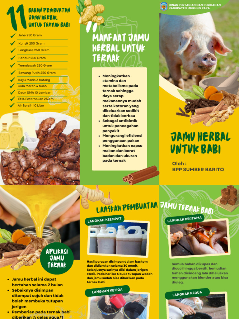 Leaflet Jamu Babi | PDF