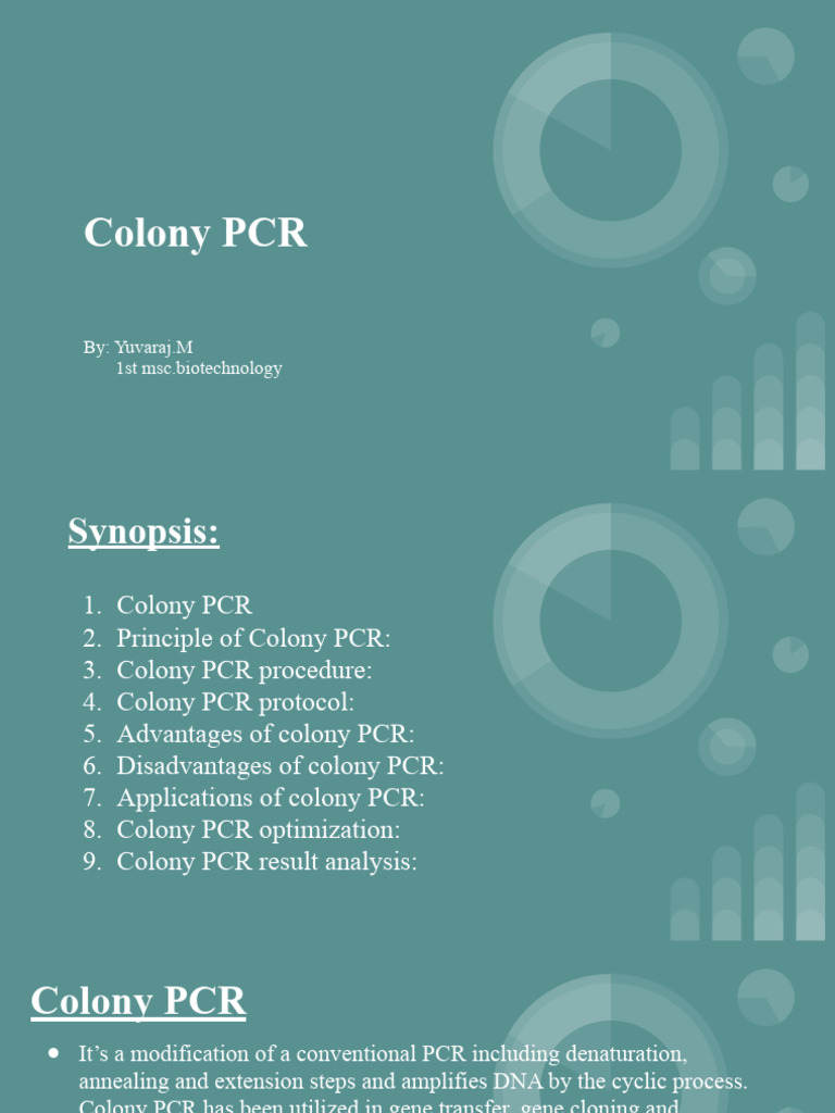 Colony PCR | PDF | Polymerase Chain Reaction | Primer (Molecular Biology)