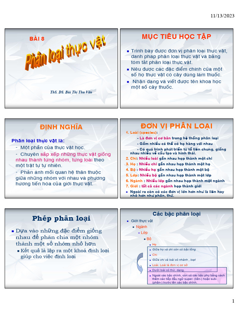 TV - Bai 8 - Phan Loai | PDF