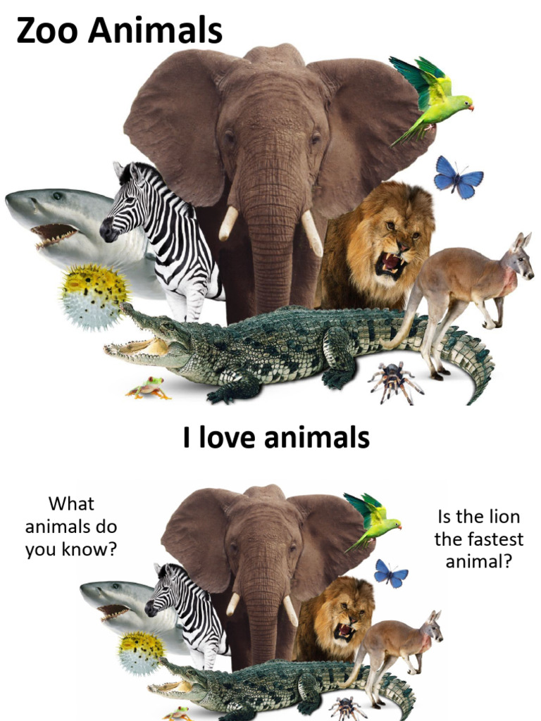 Comparative and Superlative | PDF | Zoology