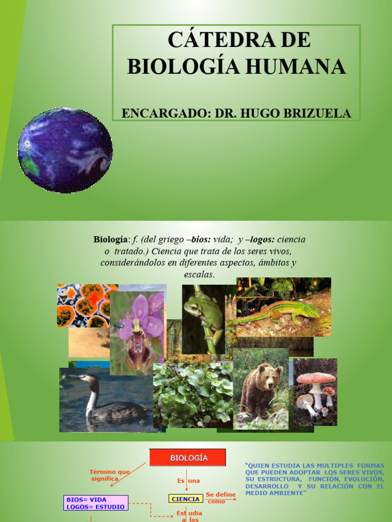 Introduccion A La Biologia | PDF | Biología | Biología Celular)