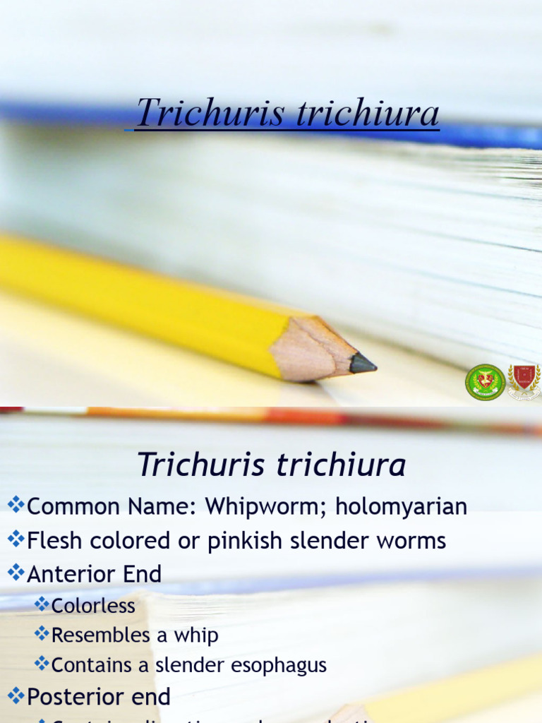 Trichuris Trichiura | PDF | Medical Specialties | Gastroenterology