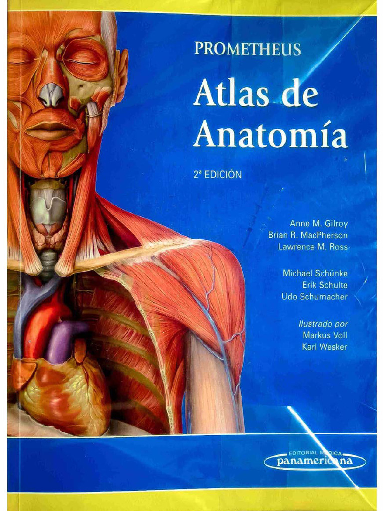 Atlas de Anatomia Humana Prometheus 2 OPTIMIZADO | PDF
