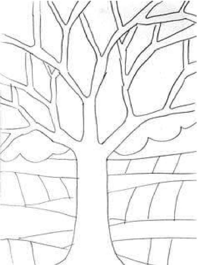 AVAP Copac Vitraliu | PDF