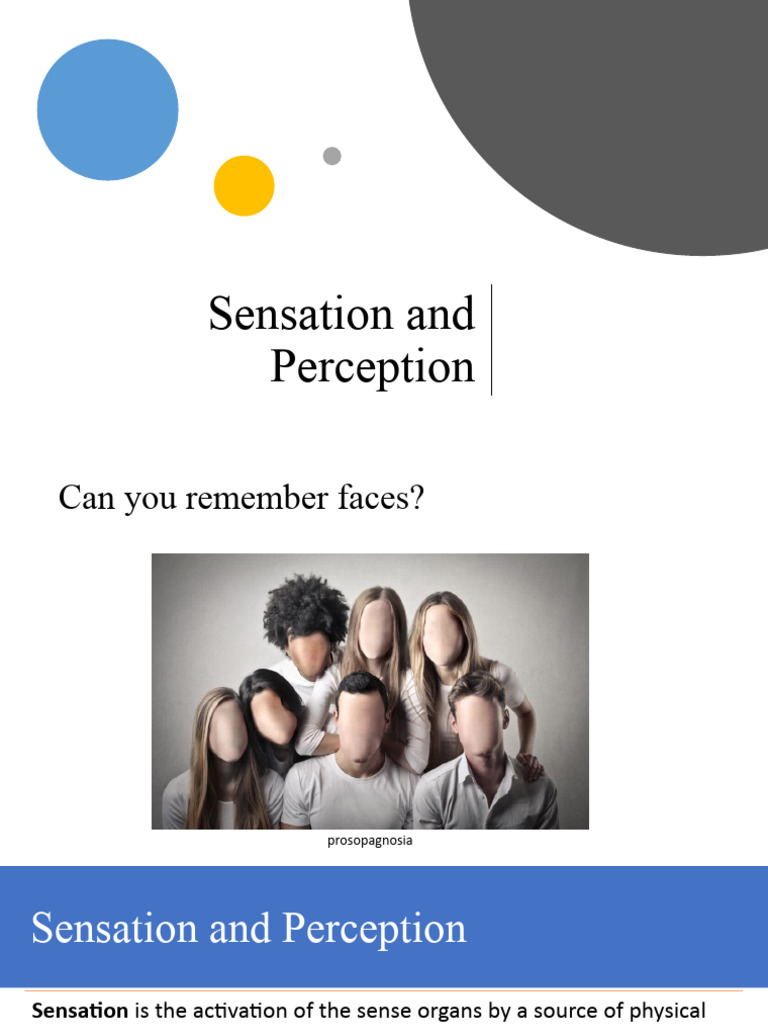 Sensation and Perception | PDF | Perception | Senses