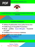 Dambii Lakk. 197-2010 (Dambii Milisha) | PDF