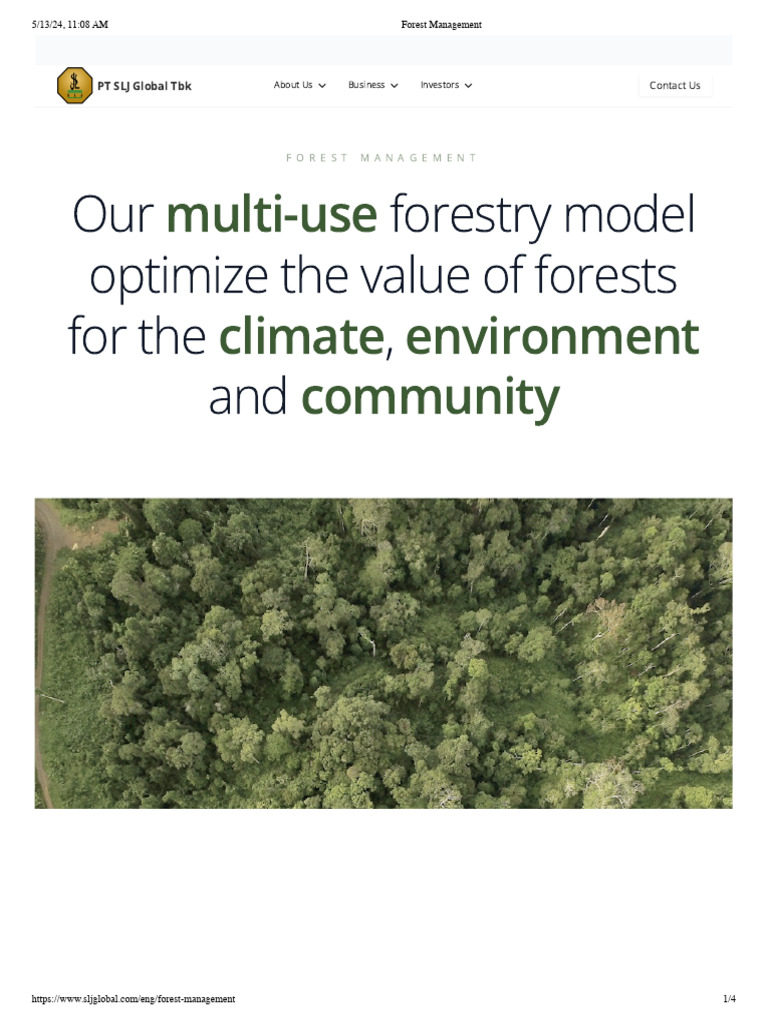Forest Management | PDF | Forest Management | Forests